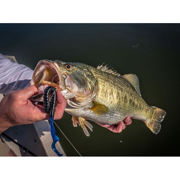 Berkley PowerBait Power Worms 18cm / 13x Blue Fleck Firetail | ABC-ZOO